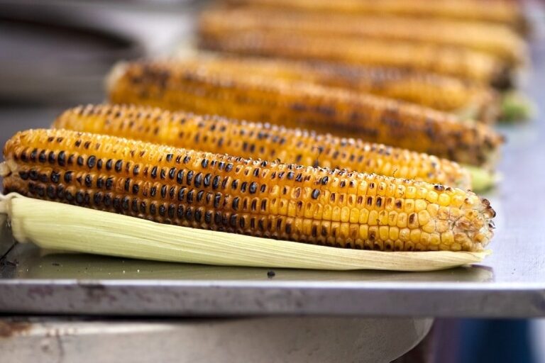 Utilisation du laurier frais en cuisine : conseils et astuces ...